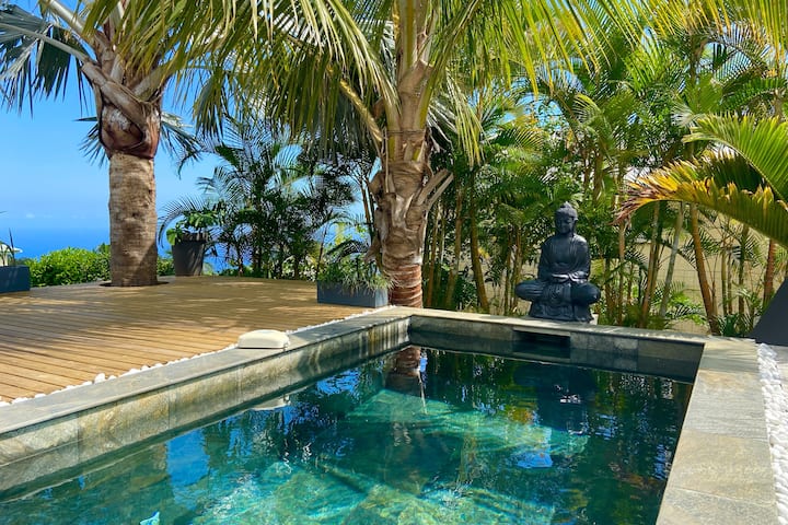 Charmant Studio Pour Voyageurs Sympas - Réunion