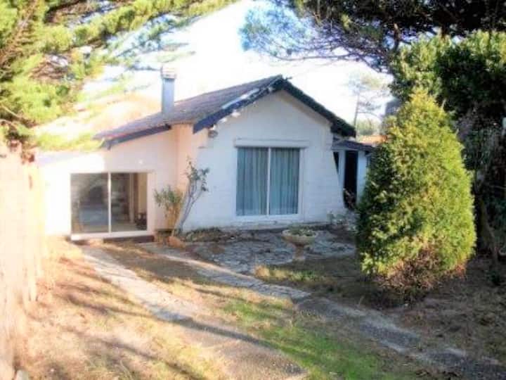 Agréable Maison De Vacances Quartier Sud 111vey - Lacanau Océan