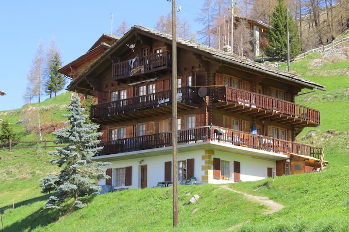 Orion Du Chalet"bella-yuva" à 1985 Villa /Evolène - Canton du Valais
