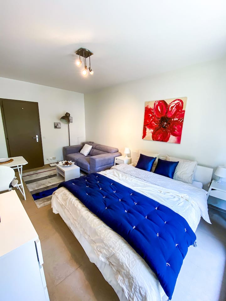 1 Bedroom Studio - Onu - Rooftop Pool City View - Genf