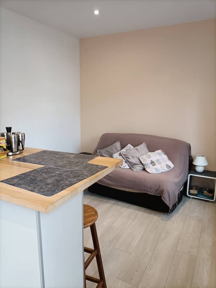 Proche Nancy Thermal, Au Calme Avec Jardin! - Vandœuvre-lès-Nancy