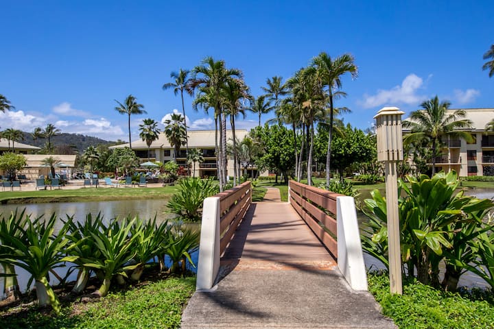 Last Minute Special Free Wifi, Best Deal In Town - Nukoli'i Beach Park