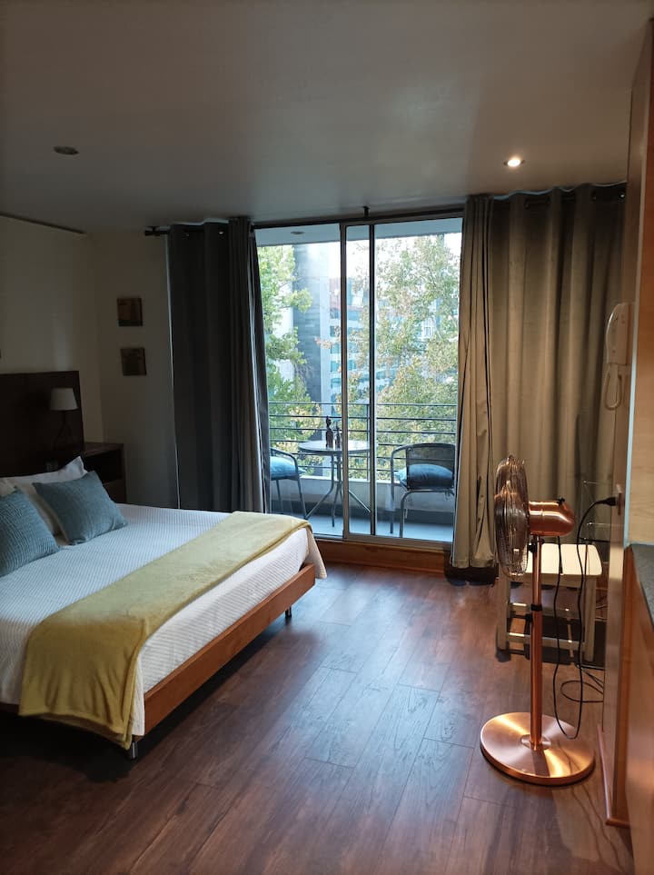 Cozy Department In Edificio La Concepción. - Chile
