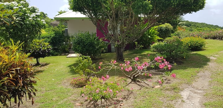 Bungalow Prune Le Jardin De La Vallée - Saint-François