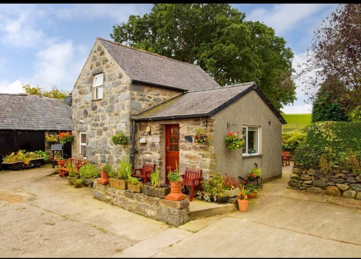 Ysgubor Newydd At Bryn Tudur Farm - Conwy