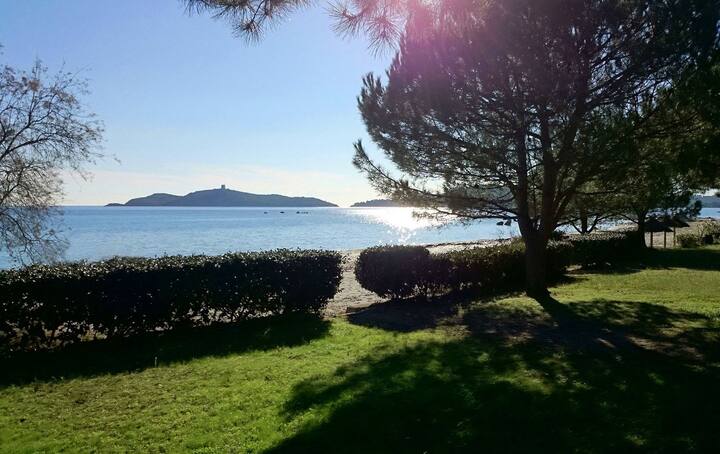 A Ruscana : Chambre Pieds Dans L'eau à Pinarello - Pinarellu