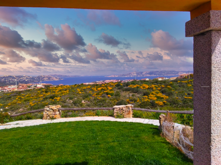 Palau Over [1] - Palau