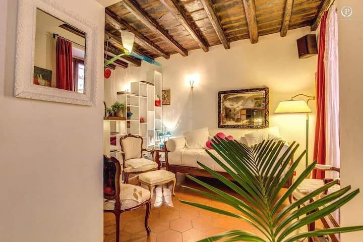 Tipico Appartamento Trilussa - Trastevere - Rome