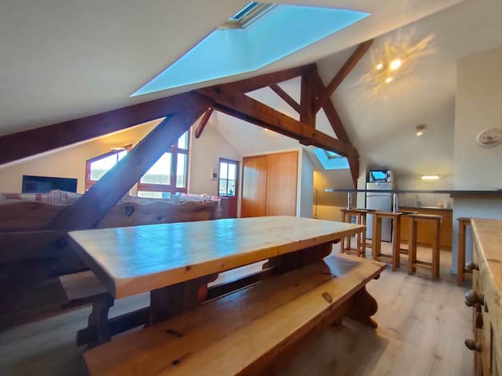 Gîte *** Style Loft, Superbe Vue - Lac de Longemer