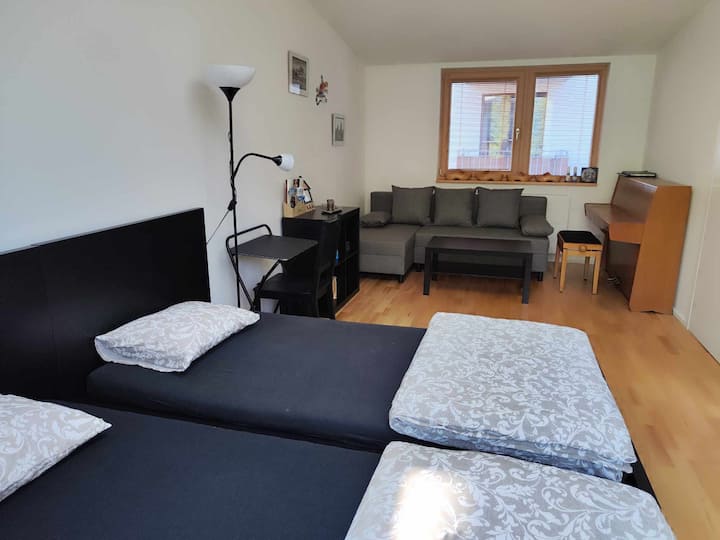 Private Room Close To City Centre - Prague