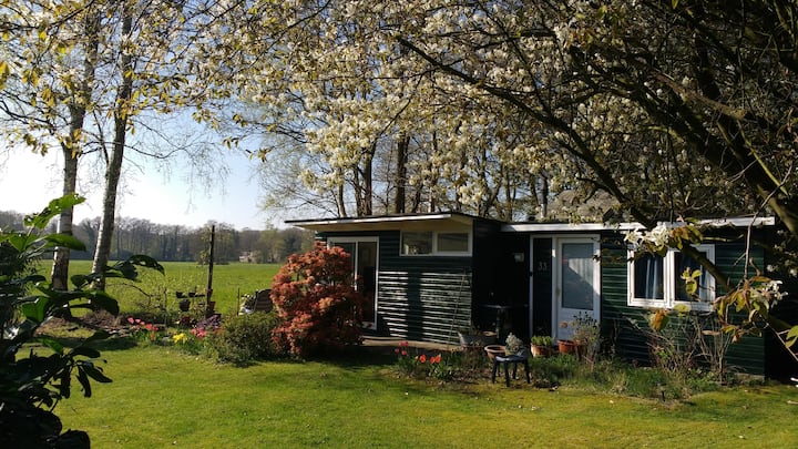 Fijn Huis Op De Veluwe Bij Randmeer. - Ermelo, Netherlands