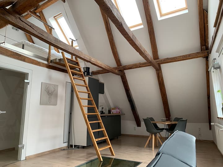 Traumwohnung 3.4 - City Of Münster (1-3 Pers) - Altenberge