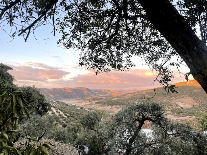 Stunning Views,3 Bed W/ Private Pool & Olive Grove - Riofrío
