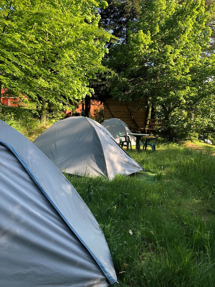 Tente 2 Places Au Camping Le Soleil #4 - Vizzavona