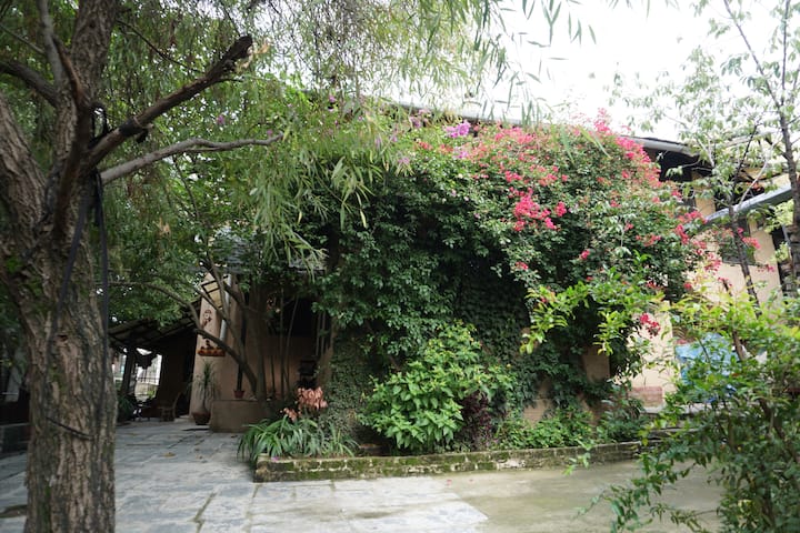 Forktail Villa - Organic Homestay In Dharamshala - Dharamshala