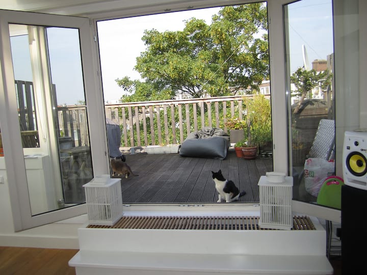 Beautiful Two Floor Penthouse - Ámsterdam