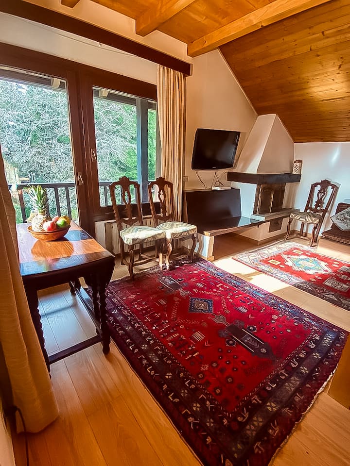 Charming Accommodation Overlooking The Ski Slopes - Madonna di Campiglio