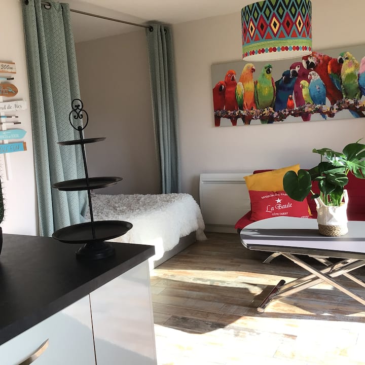 Studio La Baule - 50 M De La Mer -  Au Calme - La Baule-Escoublac