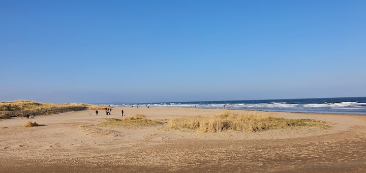 St Andrews Town - 3 Bed House With Large Garden - Saint Andrews