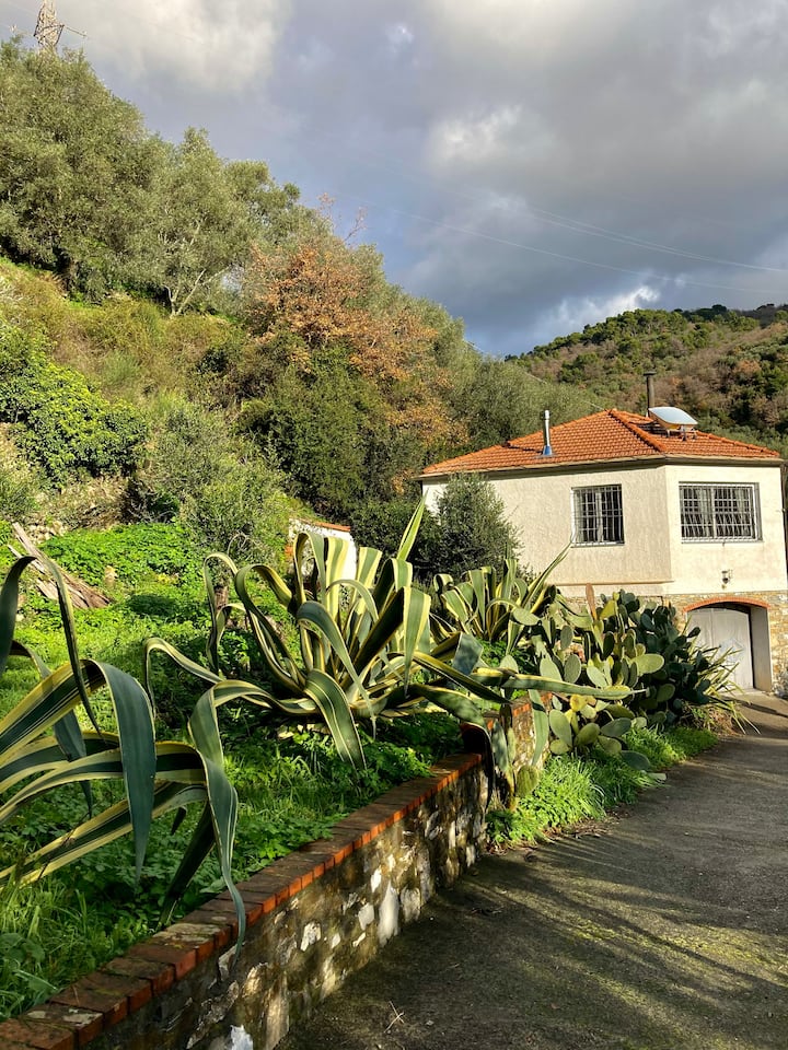 Casa Mediterranea - San Bartolomeo al Mare