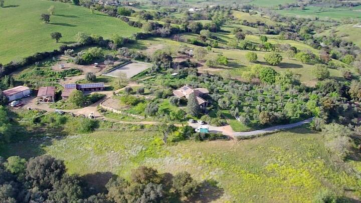 Bio Agriturismo Poggio Della Spinosa - Grosseto