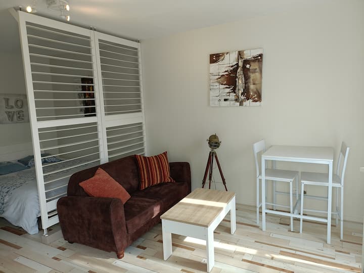 T1 Bis Cosy En Centre Ville Avec Parking Privé - ニオール
