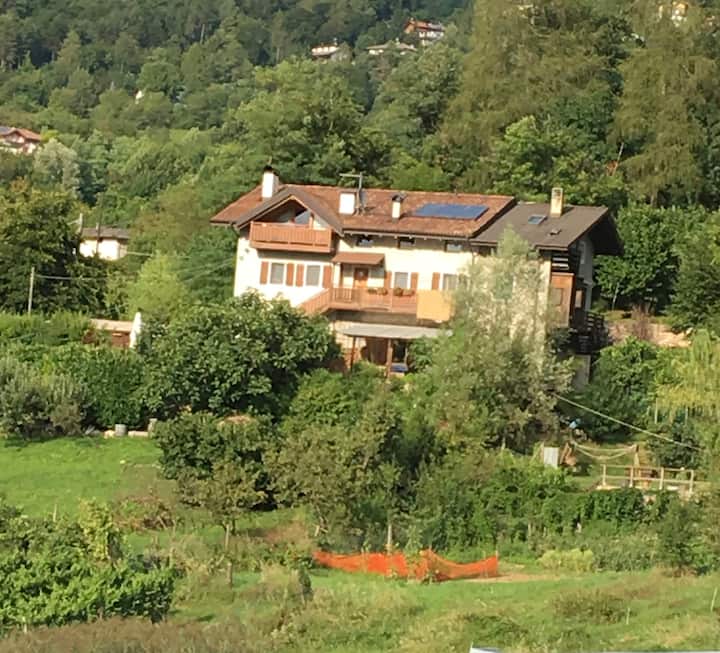 Casa Vacanze Immersa Nel Verde - Trento