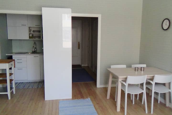 Handy Studio, Great Location - Turku