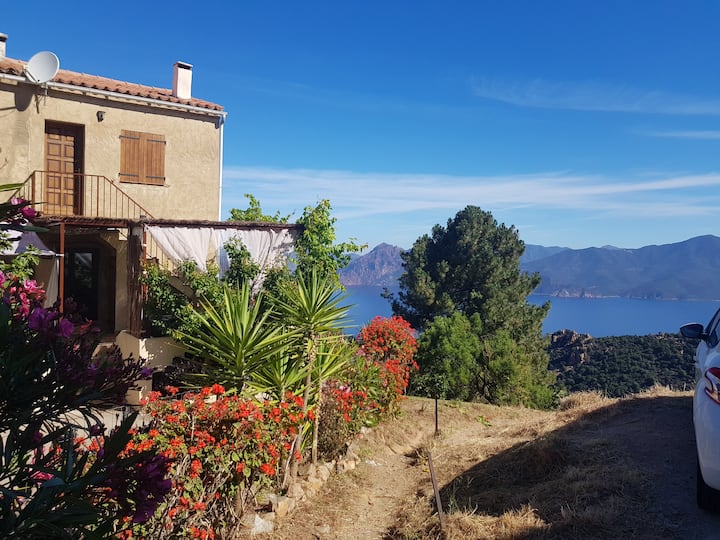 Studio De Charme Vue Calanches De Piana Et Golfe - Piana