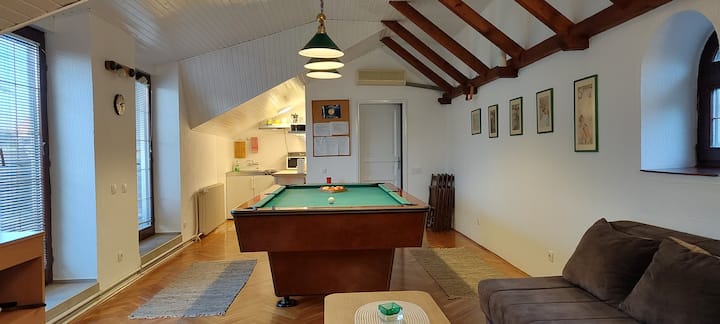 Family Home 95m Loft Apartment With Pool Table - Novi Sad