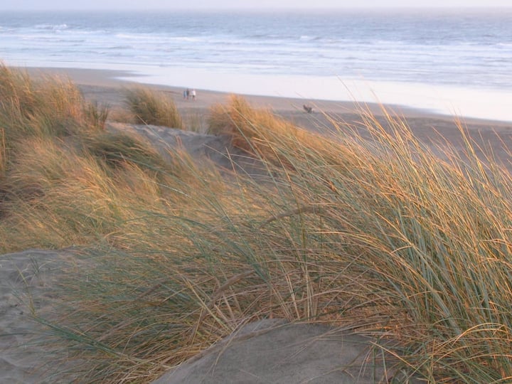 Ocean Beach Hideaway - San Francisco, CA