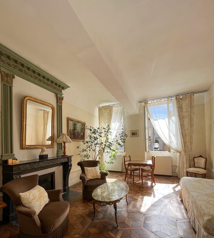 Jolie Chambre De Charme Dans Une Demeure Xve N°1 - Autun