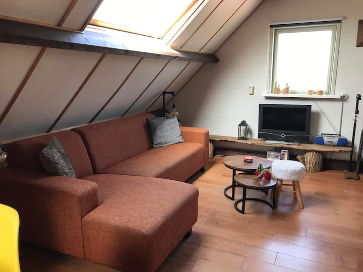 Gezellig Appartement Vlakbij Bos En Strand - Zoutelande