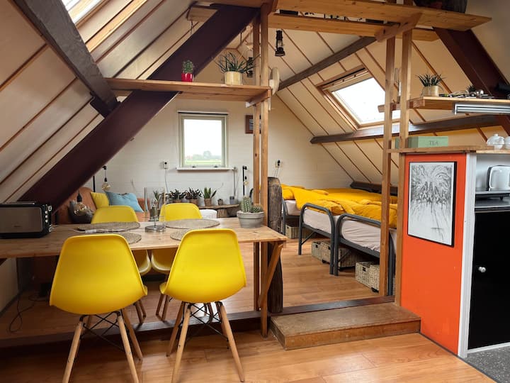 Gezellig Appartement Vlakbij Bos En Strand - 弗利辛恩