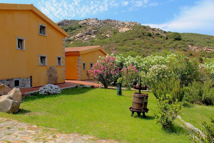 Agrit Pinna - La Casa Sul Giardino - Arzachena