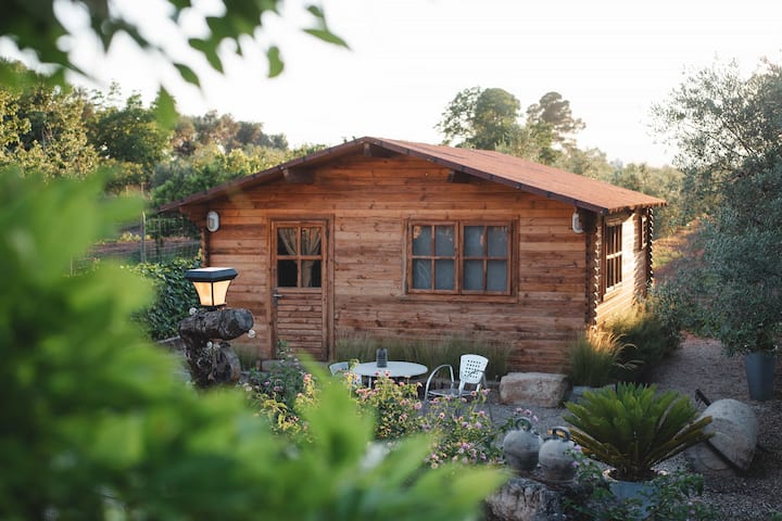 Rustic House With Pool On Private Olive Estate - Spain