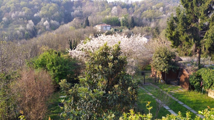 Sulle Colline Di Torino - Chivasso