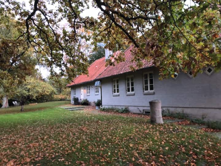 Udsigt Over Ebeltoft Vig Med Skoven I Baghaven - Ebeltoft