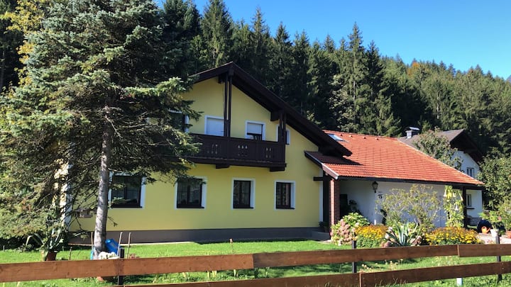 Apartment Waldblick - Bad Goisern am Hallstättersee