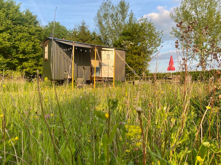 Cotswold Glamping - Shepherds Hut In A Wild Meadow - Tetbury