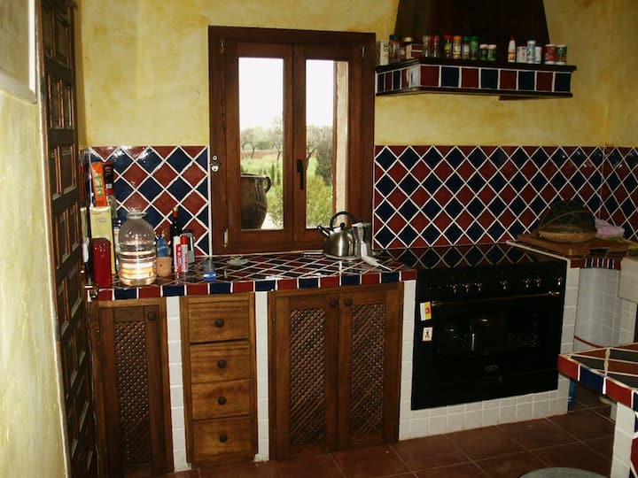 Finca Sa Vinya 3 - Búger