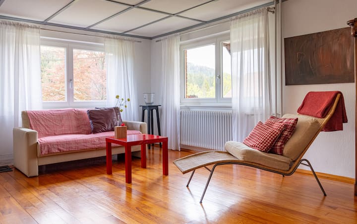 Ferienwohnung Im Schwarzwald Nationalpark - Forbach
