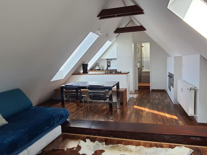 Dove's Loft In The Heart Of Ljubljana - Ljubljana