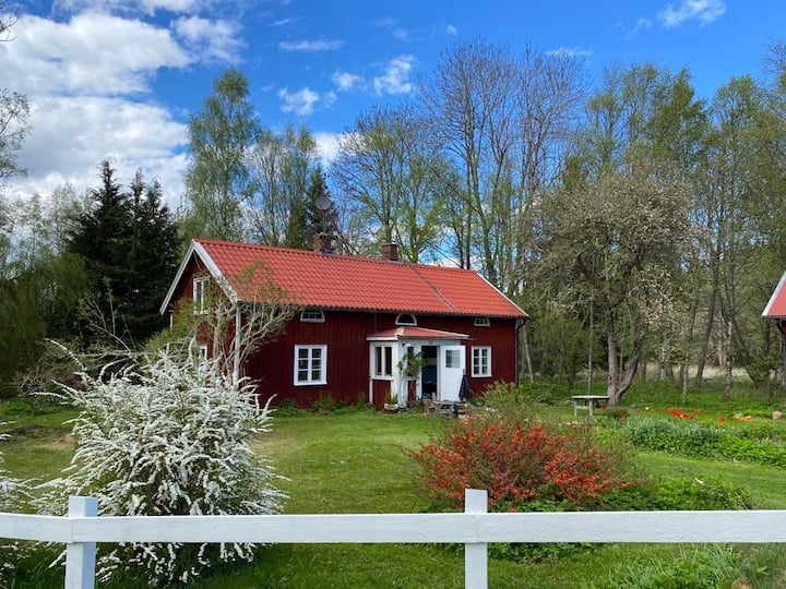 Traditional Swedish Summer House Set In The Woods - Herrljunga
