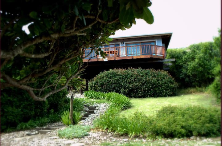 Agapanthus Holiday Home - Knysna