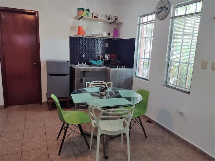 Estudio "Tejon" - Puerto Morelos