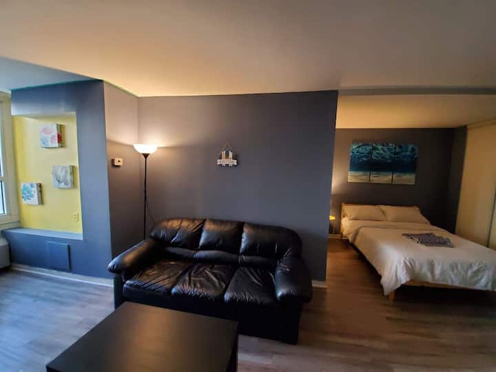 Studio In Montreal Downtown/best Location - Olympic Stadium