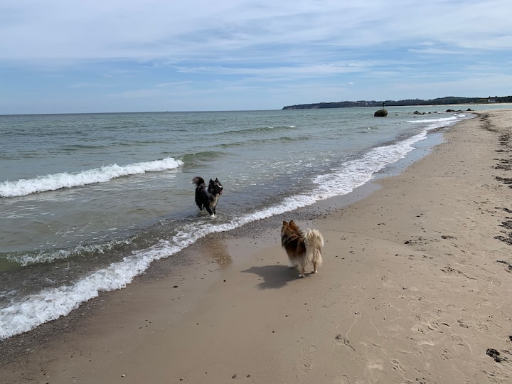 Villa Waldblick Baabe Fewo Strandnah, Balkon - Binz