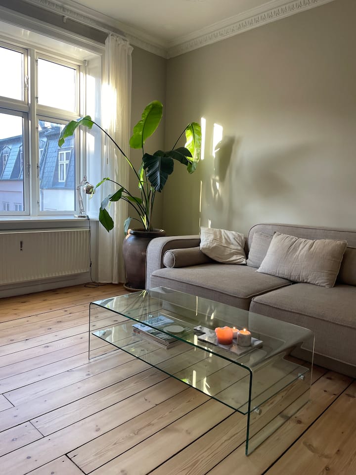 Cozy Central Apartment - Copenhagen