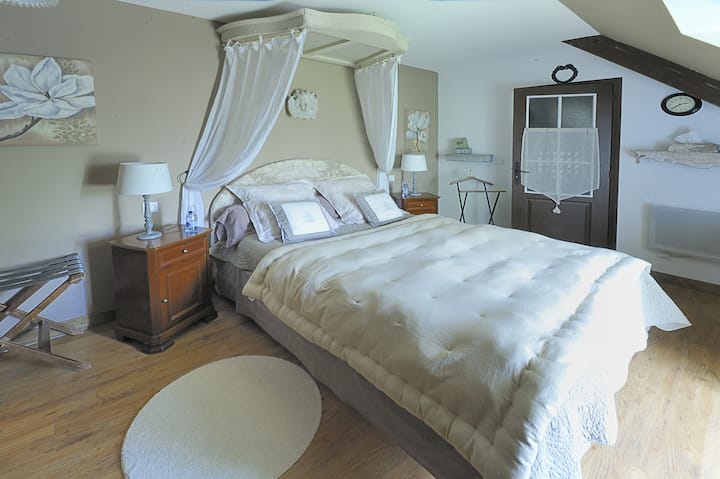 Chambre Reine Guenievre Ou Merlin - Brocéliande